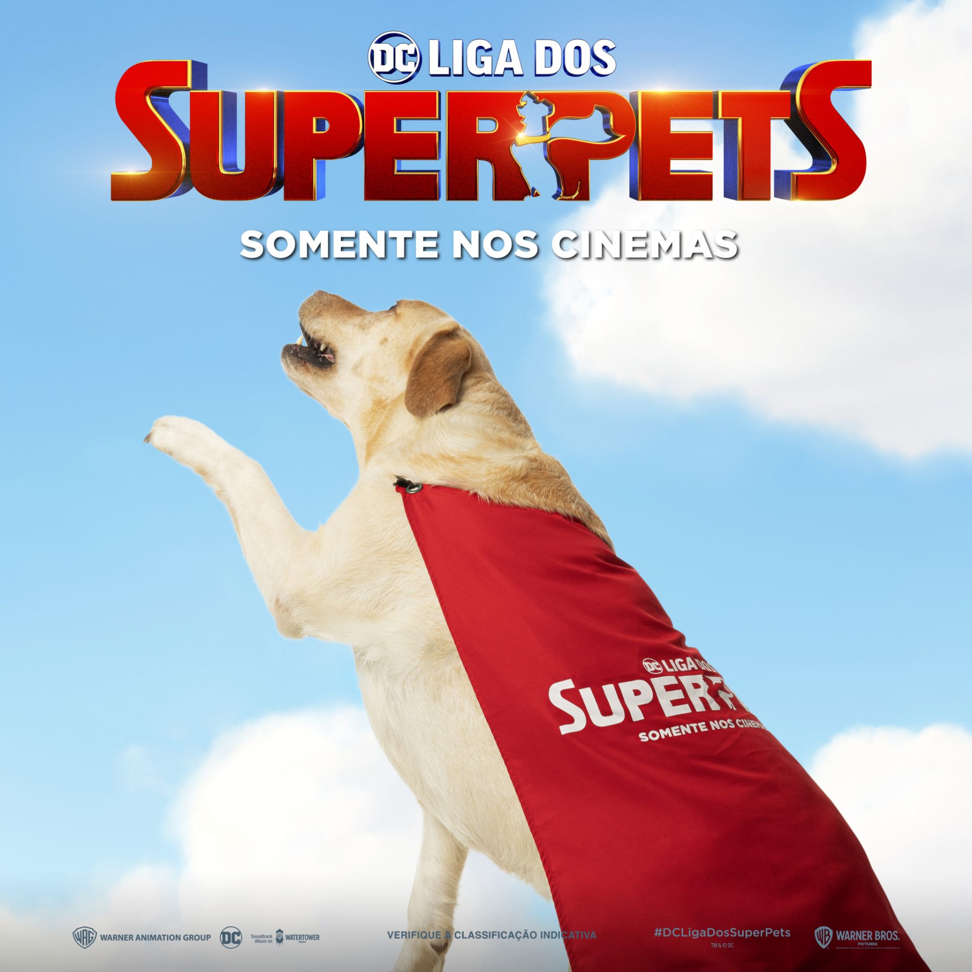 Superpets dentro e fora das telonas: Cães-guia protagonizam ação de ...